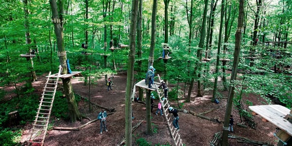 Klimbos Fun Forest Rotterdam | Rotterdam